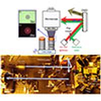 Batch fabrication of functional optical elements on a fiber facet using ...