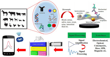 Recent advancement in biosensors technology for animal and livestock health management ...