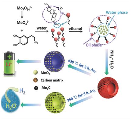 Formation of Mo–Polydopamine Hollow Spheres and Their Conversions to MoO2/C and Mo2C/C for ...