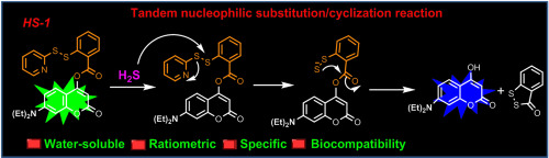 A novel ratiometric fluorescent H2S probe based on tandem nucleophilic substitution/cyclization ...