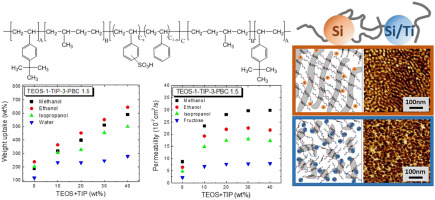 SiO2-TiO2-PBC nanocomposite film morphology, solvent swelling ...