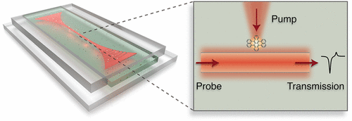 Chip-Based All-Optical Control of Single Molecules Coherently Coupled ...