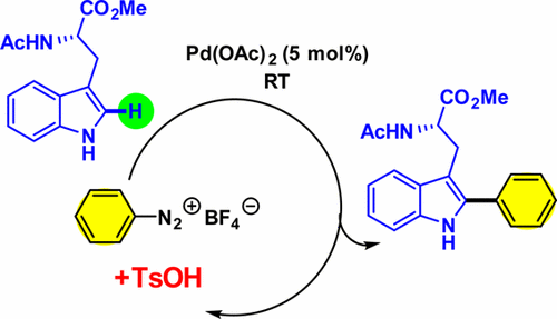 Mild and Regioselective Pd(OAc)2-Catalyzed C-H Arylation of Tryptophans ...