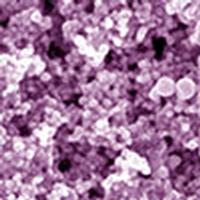 Laser-induced construction of multi-branched CuS nanodendrites with ...