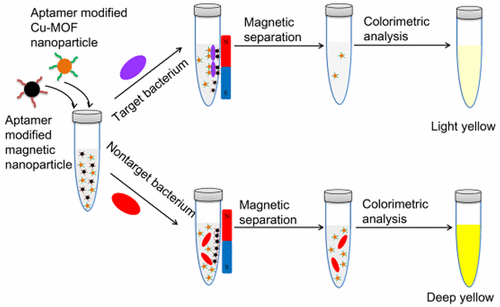 Copper-Based Metal–Organic Framework Nanoparticles with Peroxidase-Like ...