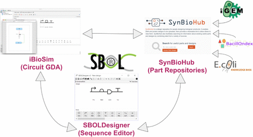 SBOLDesigner 2: An Intuitive Tool for Structural Genetic Design,ACS ...