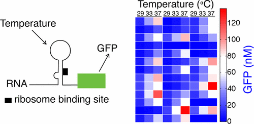 RNA温度计工具箱的设计,ACS Synthetic Biology - X-MOL
