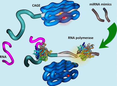 CAGE: Chromatin Analogous Gene Expression,ACS Synthetic Biology - X-MOL