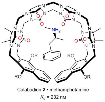 Molecular Containers Bind Drugs of Abuse in Vitro and Reverse the ...