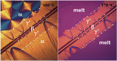 Preparation of gamma-PVDF with controlled orientation and insight into ...