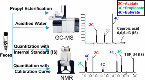 Orthogonal Comparison of GC–MS and 1H NMR Spectroscopy for Short Chain ...