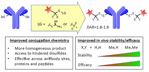 Development of Efficient Chemistry to Generate Site-Specific Disulfide ...