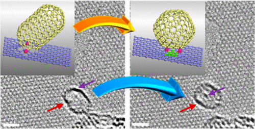 In Situ Electron Driven Carbon Nanopillar-Fullerene Transformation through Cr Atom Mediation ...