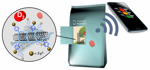 Wireless Oxygen Sensors Enabled by Fe(II)-Polymer Wrapped Carbon ...
