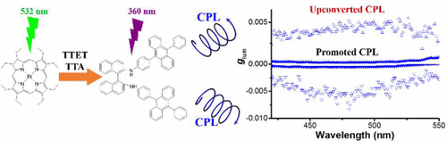 Amplification of Circularly Polarized Luminescence through Triplet ...