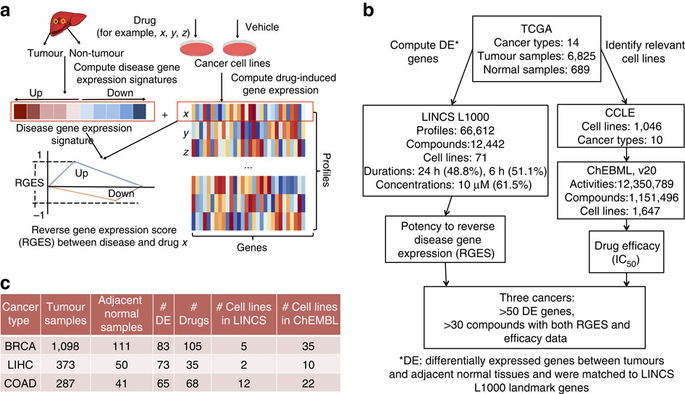 Reversal of cancer gene expression correlates with drug efficacy and ...