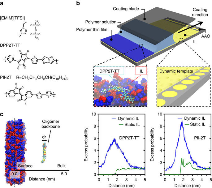 Dynamic-template-directed multiscale assembly for large-area coating of ...
