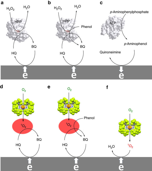 Singlet oxygen-based electrosensing by molecular photosensitizers ...