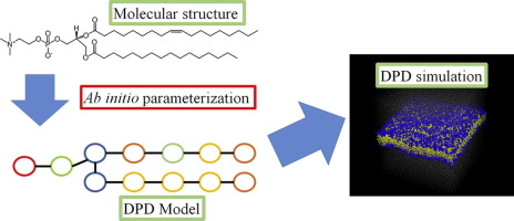 基于碎片分子轨道（FMO）的1-Palmitoyl-2-oleoyl磷脂酰胆碱（POPC）膜的有效参数的耗散粒子动力学（DPD）模拟 ...