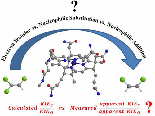 钴胺素介导的氯乙烯还原脱卤机理,ACS Catalysis - X-MOL