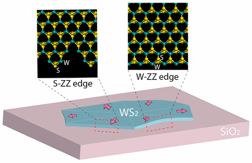 Edge Delamination of Monolayer Transition Metal Dichalcogenides,ACS ...
