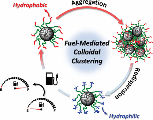 Fuel-Mediated Transient Clustering of Colloidal Building Blocks,Journal ...