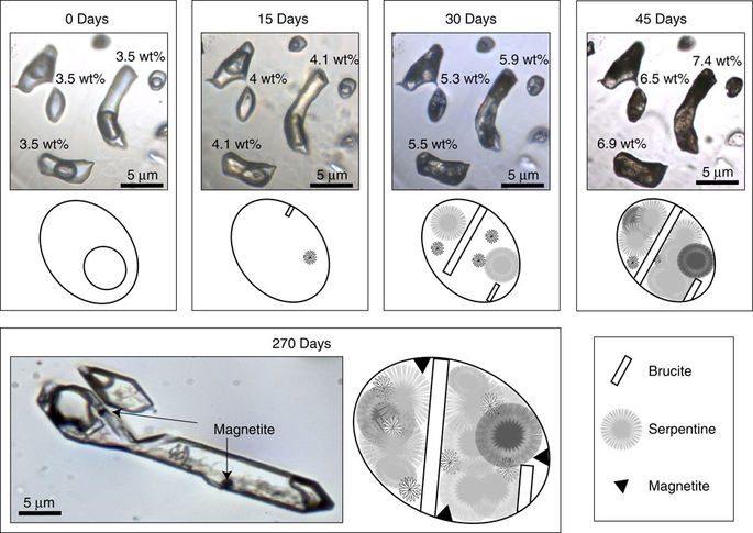 Effect of water activity on rates of serpentinization of olivine ...