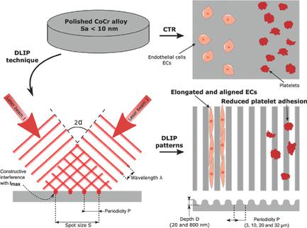Direct Laser Interference Patterning of CoCr Alloy Surfaces to Control ...