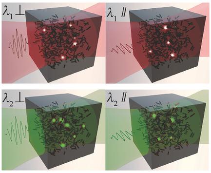 Encoding Random Hot Spots of a Volume Gold Nanorod Assembly for ...
