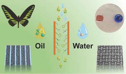 Energy‐Efficient Oil–Water Separation of Biomimetic Copper Membrane ...