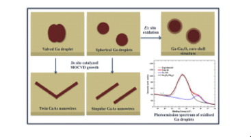 Coalesced nanomorphology, in situ, and ex situ applications of self ...