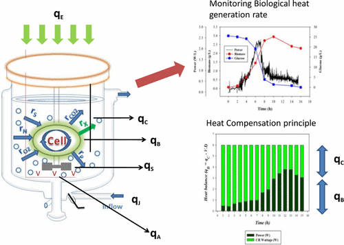Heat Compensation Calorimeter as a Process Analytical Tool To Monitor and Control Bioprocess ...