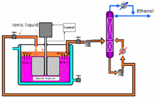 Keys for Bioethanol Production Processes by Fermentation and Ionic ...