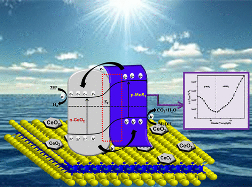 Coupling of Crumpled-Type Novel MoS2 with CeO2 Nanoparticles: A Noble ...