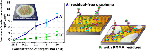 Hall effect biosensors with ultraclean graphene film for improved sensitivity of label-free DNA ...