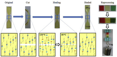 Self-healing behavior of polyurethanes based on dual actions of thermo ...