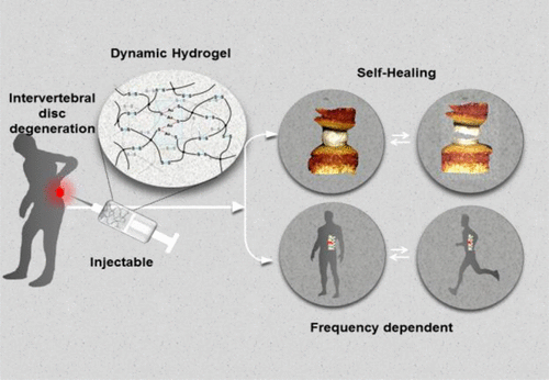 Self-Healing Dynamic Hydrogel as Injectable Shock-Absorbing Artificial ...