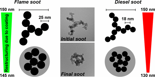Relationship between Coating-Induced Soot Aggregate Restructuring and ...