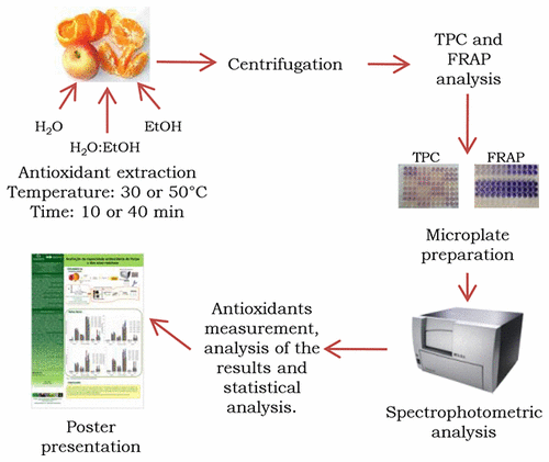 Investigating the Antioxidant Capacity of Fruits and Fruit Byproducts ...