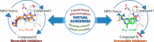 Discovery of Novel Potent Reversible and Irreversible Myeloperoxidase ...