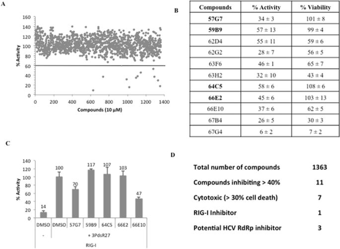 A screen for novel hepatitis C virus RdRp inhibitor identifies a broad ...