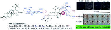 新型五环三萜-Neu5Ac2en衍生物的合成及其 体外 抗流感活性的研究,RSC Medicinal Chemistry - X-MOL
