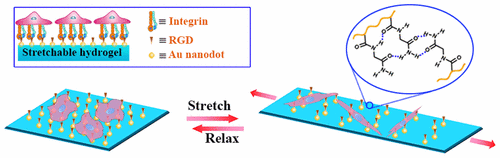 Nanopatterned Adhesive, Stretchable Hydrogel to Control Ligand Spacing ...