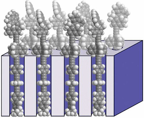 Surface Inclusion of Unidirectional Molecular Motors in Hexagonal Tris ...