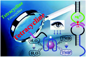 Instrument-free visual detection of tetracycline on an autocatalytic ...