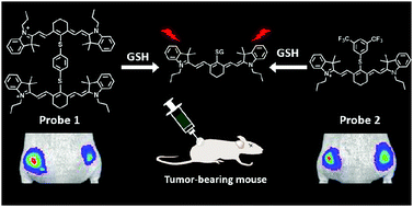 Near-infrared fluorescent probes for the detection of glutathione and ...
