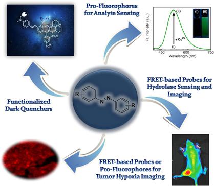 Azo-Based Fluorogenic Probes for Biosensing and Bioimaging: Recent ...