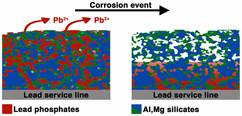 Forensic Estimates of Lead Release from Lead Service Lines during the ...