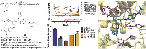 Discovery of cycloalkyl-fused N-thiazol-2-yl-benzamides as tissue non ...