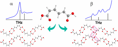 Polymorphism in cis–trans Muconic Acid Crystals and the Role of C–H···O ...